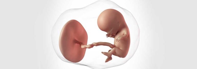 Pregnancy Week 11 - Healthy Pregnancy