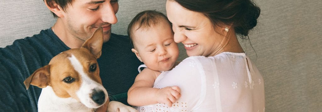 Building a Family; Introducing New Baby to Pets - HealthyPregnancy.com