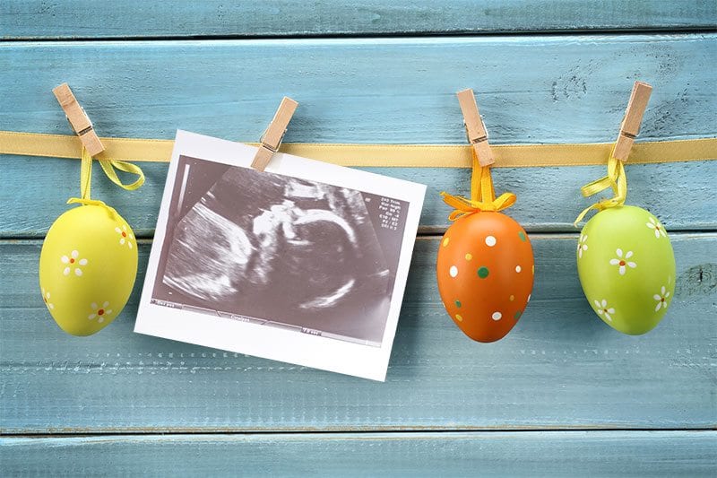 Twelve Adorable Easter/Spring Pregnancy Announcement Ideas