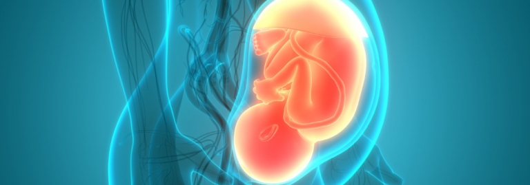 Umbilical Cord Knot: What You Need to Know - Healthy Pregnancy